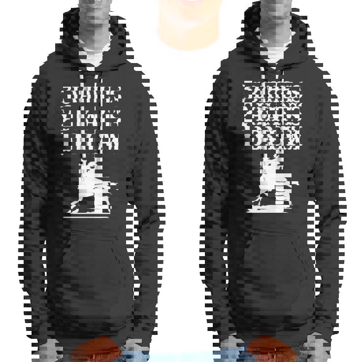 Barrel Race Barrel Racing Show - 3 Barrels 2 Hearts 1 Dream Hoodie | Mazezy